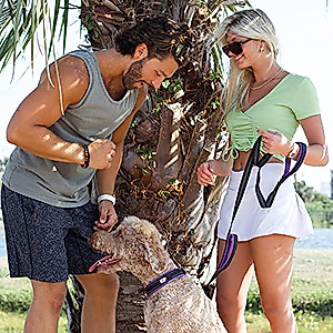 Black Rhino - The Comfort Collar Ultra Soft Neoprene Padded Dog Collar for All Breeds - Heavy Duty Adjustable Reflective Weatherproof (Medium, Purple/Bl)