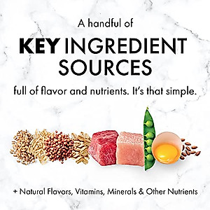 NUTRO SO SIMPLE With Beef Adult Dog Food, 11 lb.