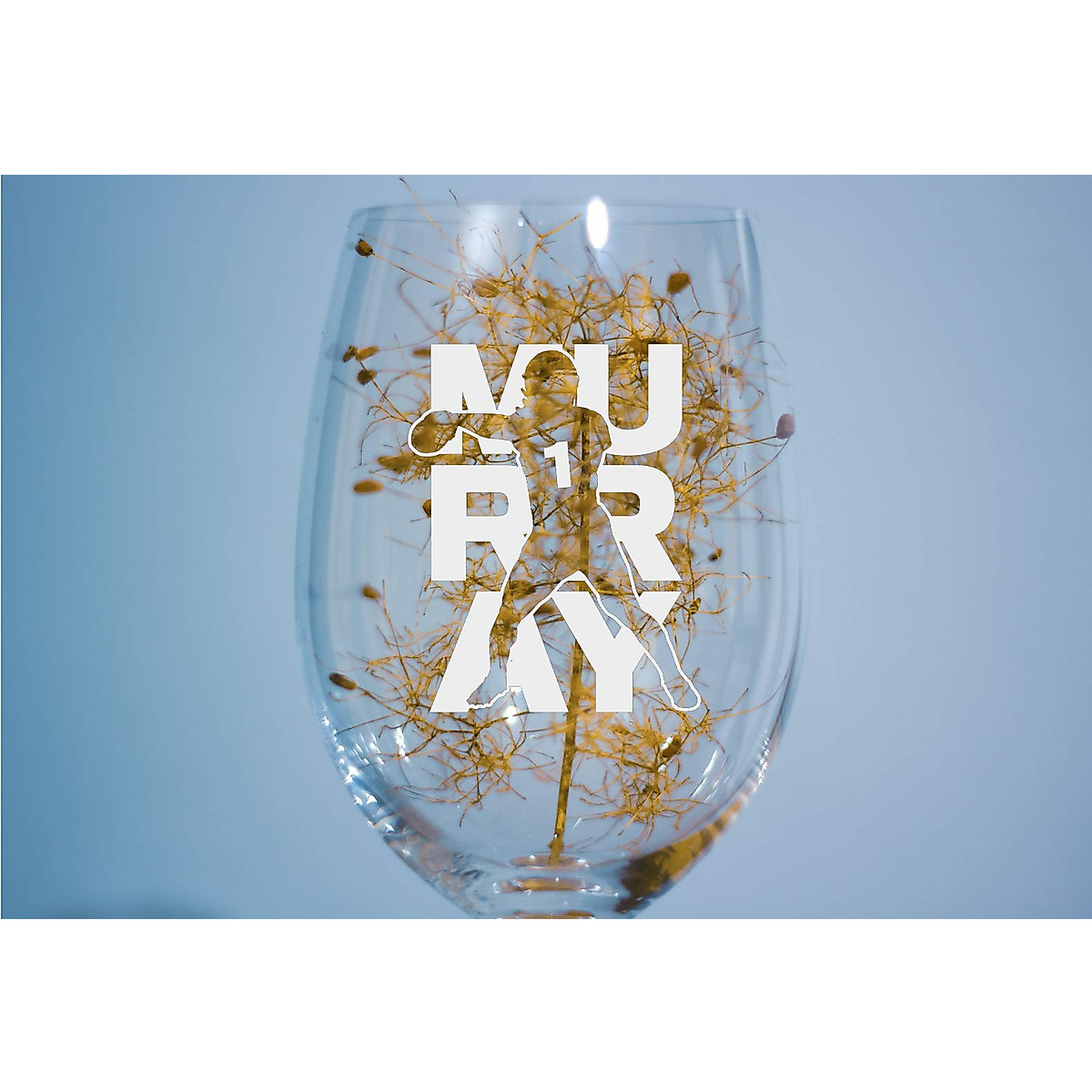 Hat Shark Football Sports Athletic Player - Laser Engraved Stemless Wine Glasses (Brady #12)