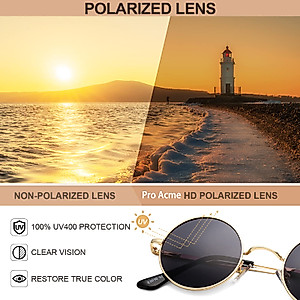 Pro Acme Small Round Polarized Sunglasses for Men Women Circle Retro Shades Metal Hippie Sunglasses UV400 (Gold Frame/Black Lens)