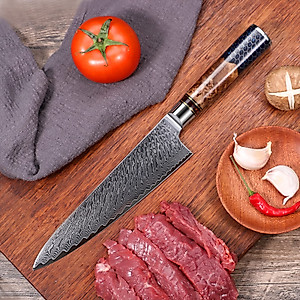 JunJing 8 inch Damascus Chef Knife, Damascus Steel Kitchen Chef Knife, Gyuto Chef Knife 67-layer High Carbon Stainless Steel with Ergonomic Resin Wood Handle