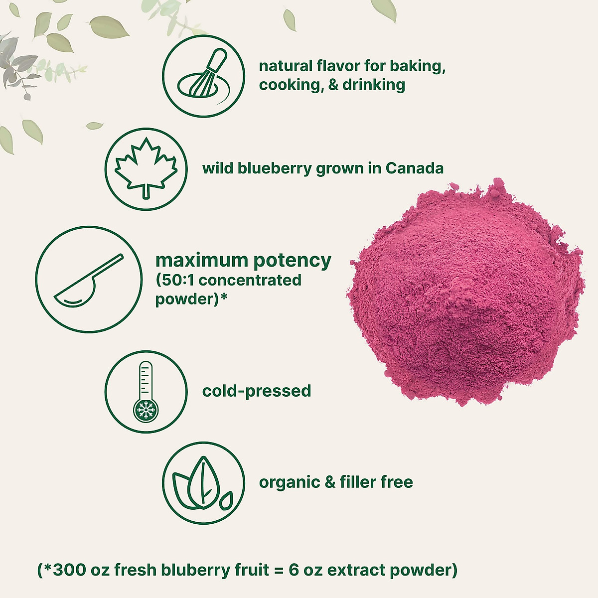 Organic Blueberry Extract Powder, 6oz | 100% Natural Fruit Powder | Freeze-Dried Wild Blueberries Source | No Sugar & Additives | Great Flavor for Drinks, Smoothie, & Beverages | Non-GMO & Vegan