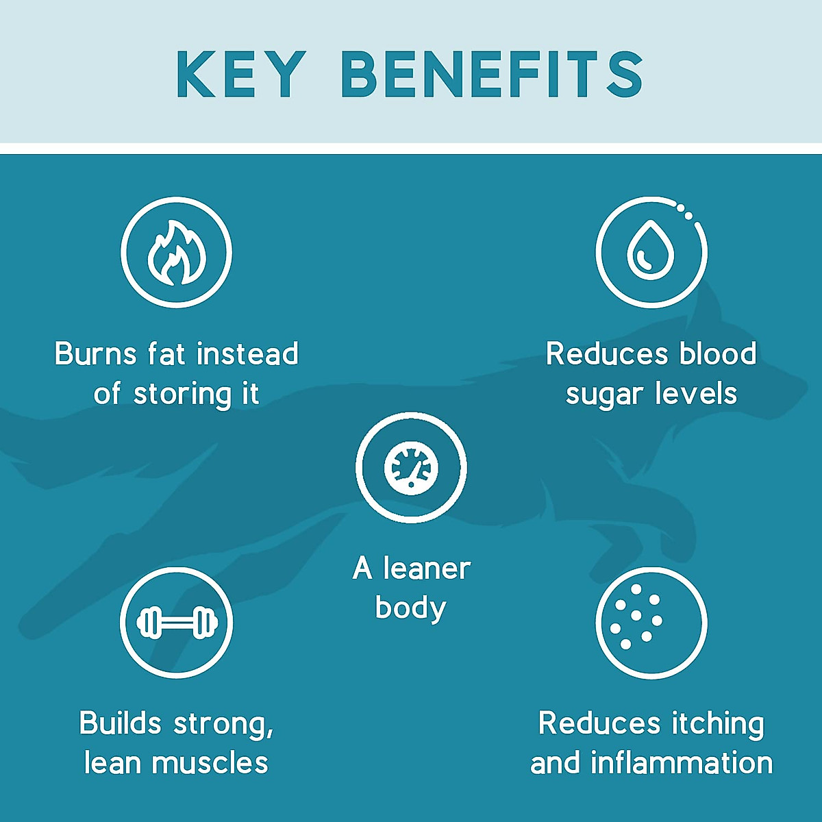 Ketona Chicken Recipe Adult Dry Dog Food, Natural, Low Carb (Only 5%), High Protein (46%), Grain-Free, The Nutrition of a Raw Diet with The Cost and Convenience of a Kibble; 24.2lb