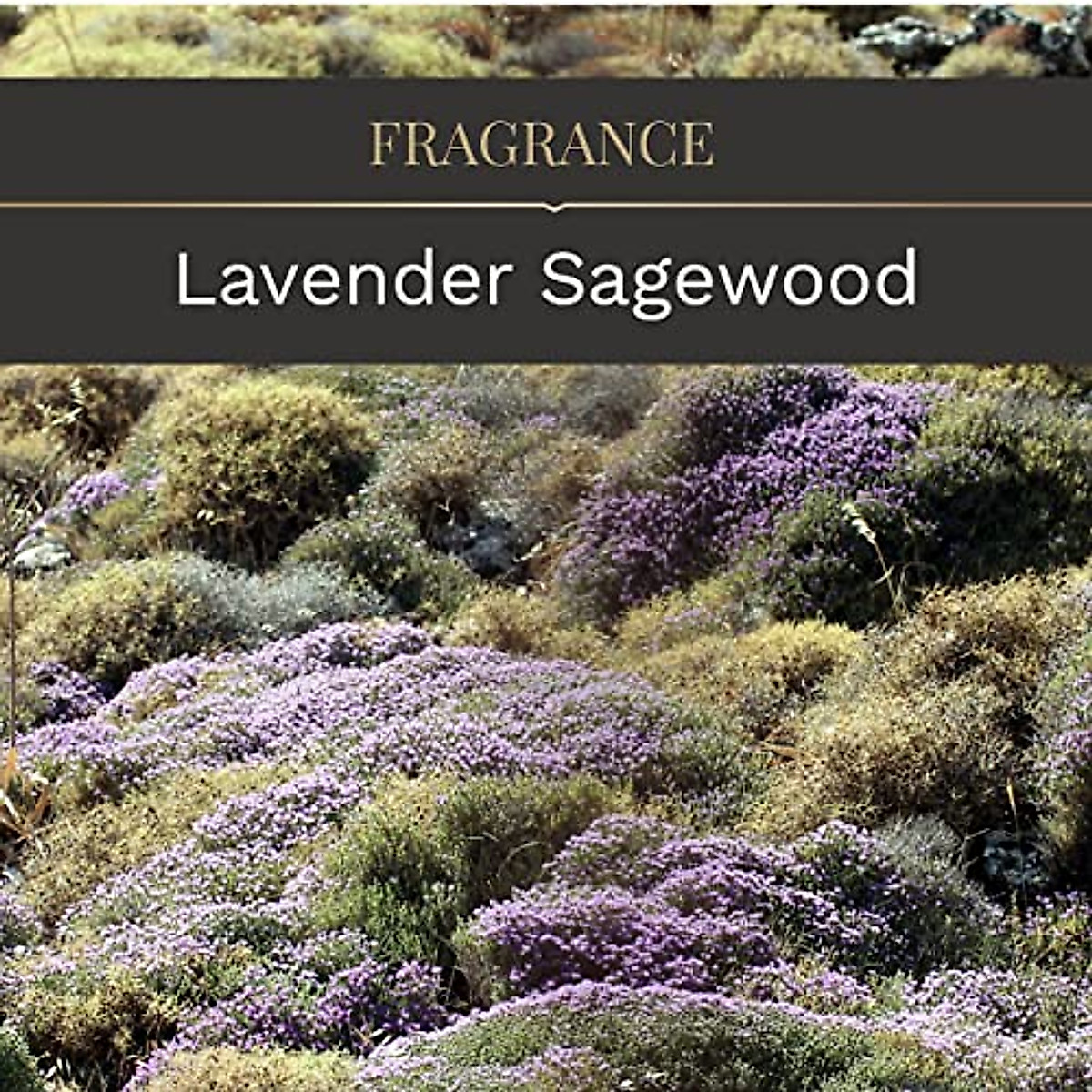 CLCo. by Candle-Lite Company Scented Candles, Lavender Sagewood Fragrance, One 14 oz. Single Wooden Wick Aromatherapy Candle with 90 Hours of Burn Time, White Color