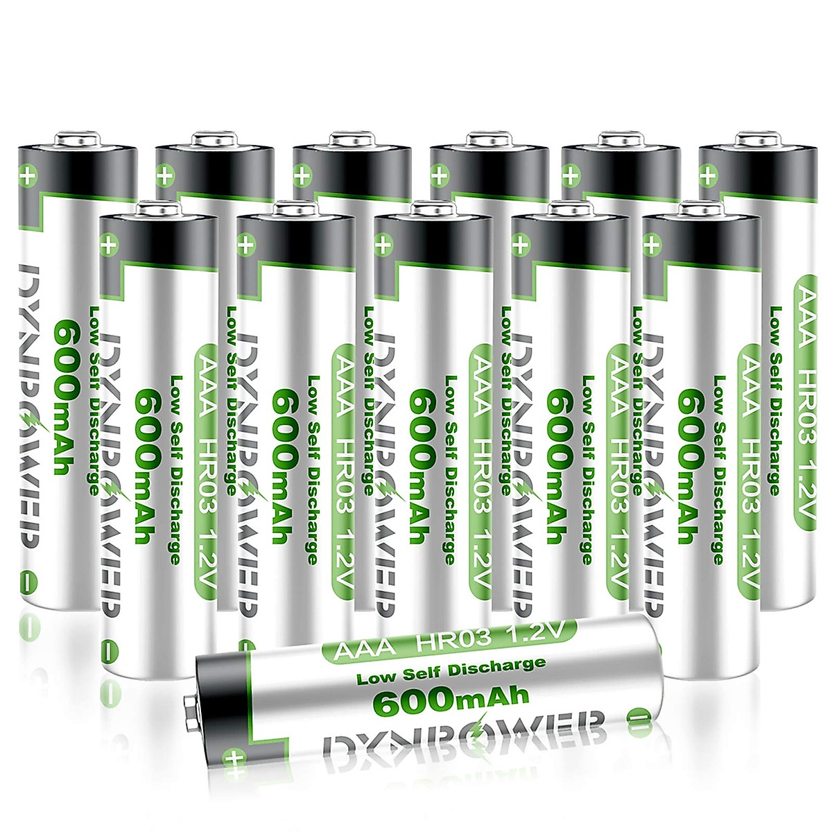 Dynpower NiMH AAA 600mAh Rechargeable Batteries 1.2V,Pre-Charged Triple A for Outdoor Solar Lights Garden Light and Household Devices, (Pack of 12)