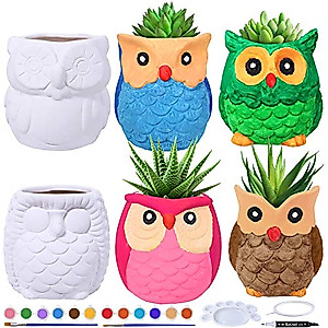 6 Sets DIY Ceramic Owl Succulent Pots Figurines Paint Craft Kit Unpainted Ceramic Bisque Paintable Owl Ceramic Flowerpots with Drainage Hole Ready to Paint for Kids Classroom Craft Project Acticity