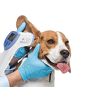 Dog Thermometer, Veterinary Thermometer Digital Pet Thermometer Animal Electronic LED Display High Precision Infrared Thermometer for Livestock Health Protect Cattle Sheep Pig Cure Home Dog Horse