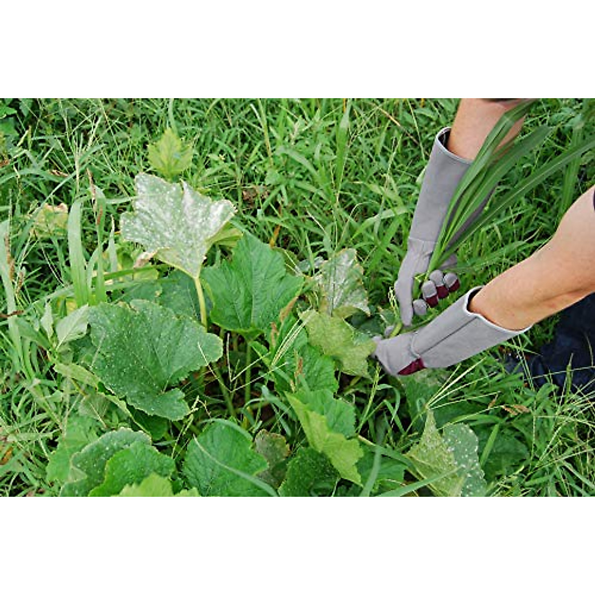 MAGID Professional Rose Pruning Thorn Proof Gardening Gloves with Extra Long Forearm Protection for Women (TE195T-S) - Puncture Resistant, Grey & Maroon, 6/XS (1 Pair)