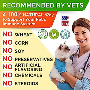 3 pack Probiotics Powder for Cats and Dogs - All Natural Supplement - Digestive Enzymes + Prebiotics - Relieves Diarrhea, Upset Stomach, Gas, Constipation, Litter Box Smell, Skin Allergy -US Made- 4oz