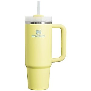 Stanley Quencher H2.0 Tumbler with Handle and Straw 30 oz | Flowstate 3-Position Lid | Cup Holder Compatible for Travel | Insulated Stainless Steel Cup | BPA-Free | Pomelo