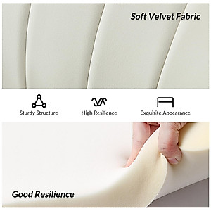 HULALA HOME Modern Velvet Loveseat Sofa with Flower Shaped Back, Comfy Upholstered 2-Seater Sofa with Gold Metal Legs, Small Love Seat Accent Couch for Living Bedroom Leisure Areas, Ivory