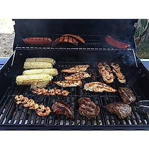 Hisencn Grill Grates Replacement for Charbroil Advantage 463343015, 463344015, 463344116, Kenmore, Advantage Gas2coal Parts 463340516, G467-0002-W1, 16 15/16" Cast Iron Cooking Grids, 3-Pack