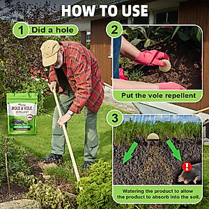 Mole Repellent for Lawns, Gopher Repellent, Mole & Vole Repellent, Mole Deterrent for Yard/Garden, Vole Repellent Outdoor,Mole and Gopher Repellent, Get Rid of Mole, Groundhog Repellent-12P