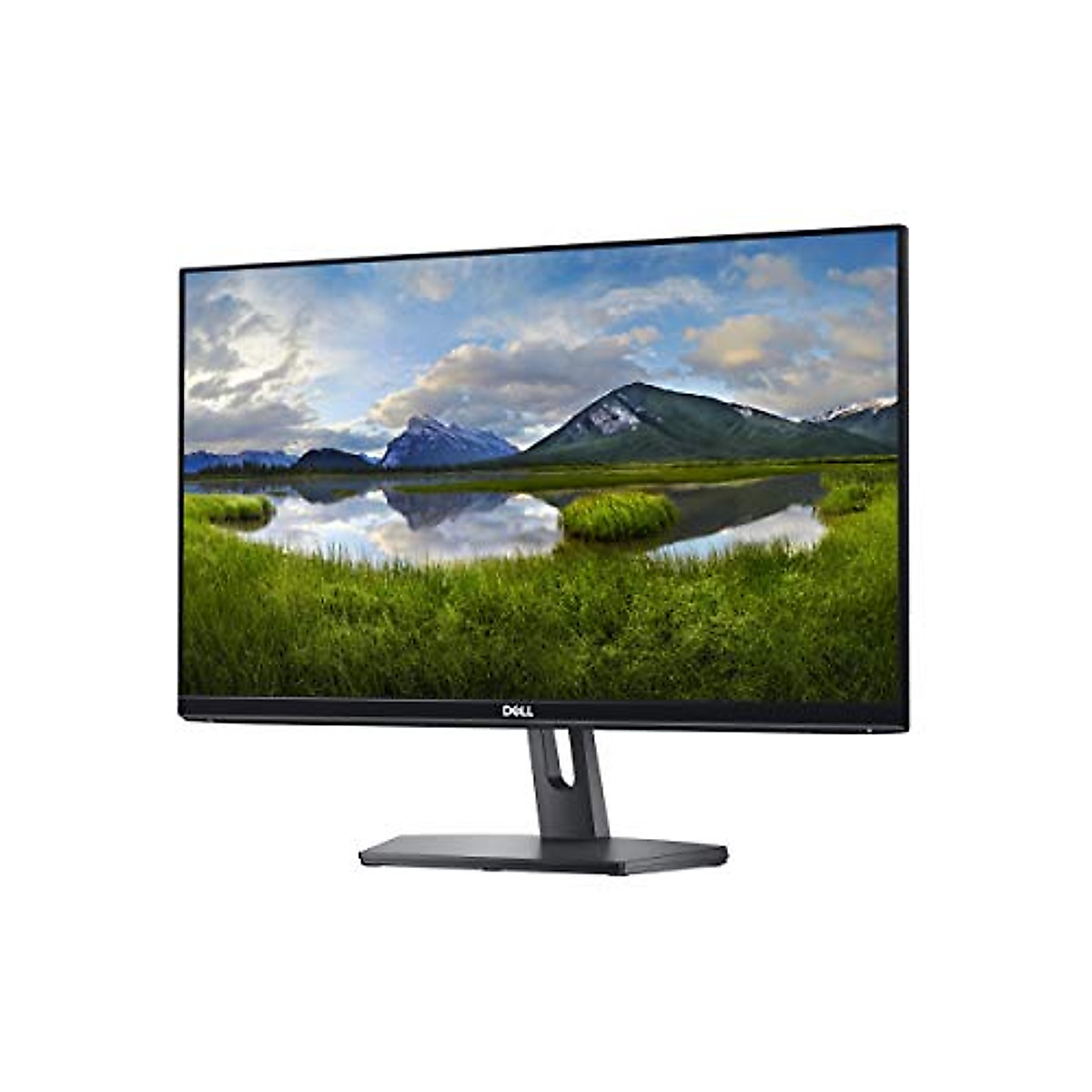 Dell SE2419H 24" LED LCD Monitor - 16:9-1920 x 1080 - Full HD, Black