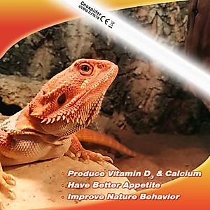 Hypool 2-Pack UVB Reptile Light 10.0 Bulb 15W 18inch T8 Fluorescent Desert Lamp for Bearded Dragon Tortoise Reptile & Amphibian (15W 18inch 10.0 Bulb G13)