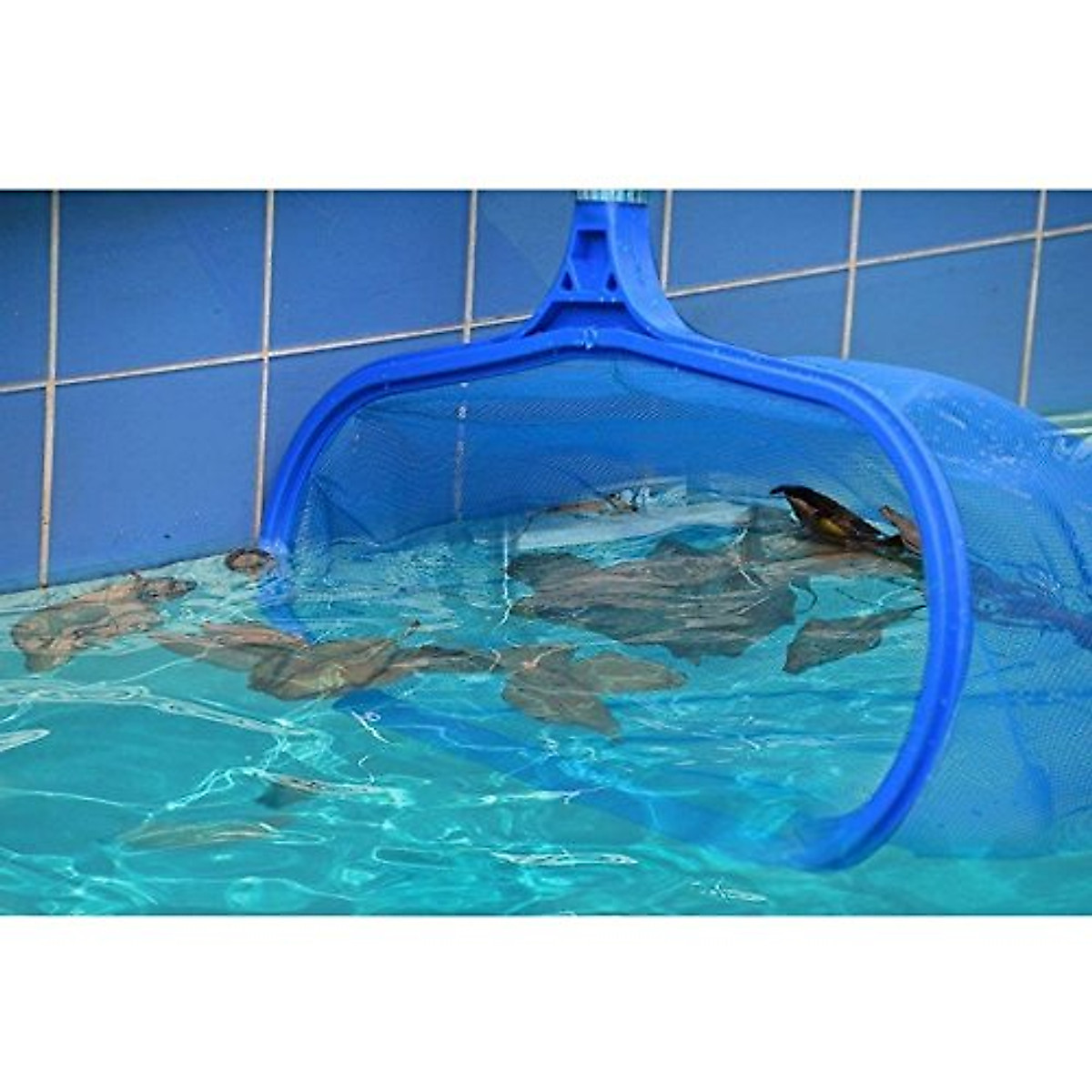 Rongbo Deep-Bag Pool Rake & Swimming Leaf Skimmer Net with Medium Fine Mesh,Fits Most Standard Pole for Cleaning Swimming Pools,Hot Tubs,Spas and Fountains (deep-Bag rake)