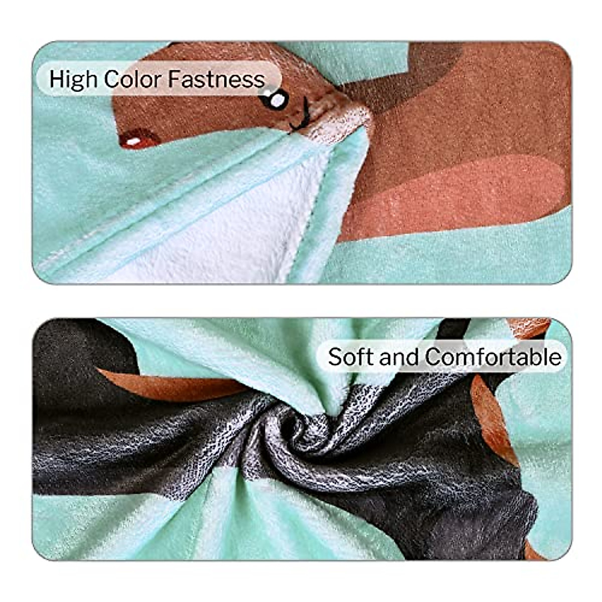 RosieLily Dachshund Blanket Dachshund Throw Blanket Dog Throw Blankets Fleece Dog Blanket for Couch Kids Dog Print Blanket for Adults Kids Warm Fuzzy Throw Blanket for Couch,Sofa,Bedroom(50Wx60L)