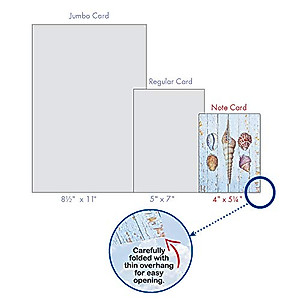 The Best Card Company - 10 Blank Note Cards with Envelopes (4 x 5.12 Inch) - Bulk All Occasion Cards Boxed - Seashell Driftwood AM6118OCB-B1x10