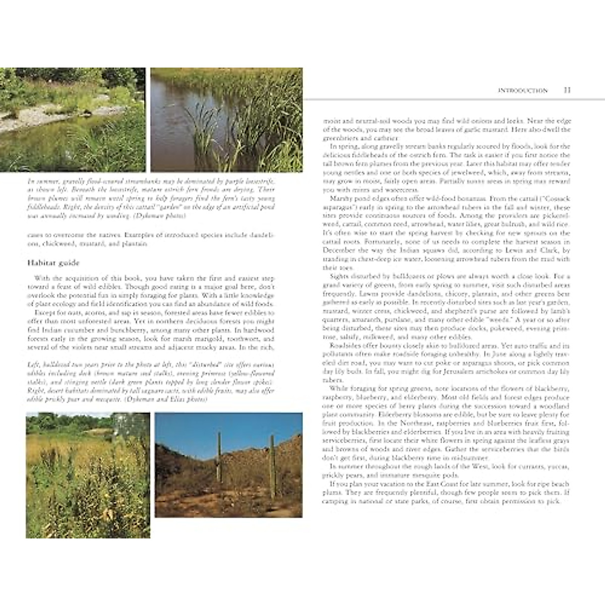 Edible Wild Plants: A North American Field Guide to Over 200 Natural Foods