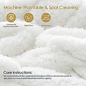 Mr. Sandman Faux Fur Weighted Blanket Queen Size 15 lbs, Luxury Elegant Long Fur Weighted Blanket Throw for Bed Sofa, Super Soft Warm Sherpa Reverse Heavy Blanket - 60"×80", Rainbow