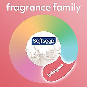 Softsoap Moisturizing body wash, macademia, 20 ounce pump, 20 Fl Oz, 4 Packs