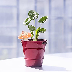 4Pcs Ceramic Mushrooms for Garden, Miniatures Mushroom Decor Mini Mushroom Garden Decor Mushroom Statue for Plant Pots Micro Landscape Dollhouse Decor