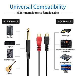 Poyiccot RCA to 1/4 inch Adapter, RCA Female to 6.35mm TS Mono Male Converter, RCA Y Splitter Adapter Audio Cable, RCA to 1/4" Audio Adapter for Mixer, Amp, Subwoofer, 20cm / 7.8inch