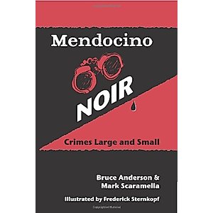 Mendocino Noir: Crimes Large and Small