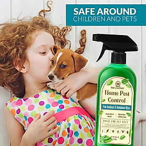 NATURAL OUST Peppermint Oil Mouse Repellent Spray - Roach Ant Spider Bug Insect Killer - Eco Friendly Pest Control to Repel Mice - Humane Repeller Alternative to Trap