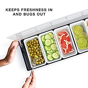Bar Top Food & Condiment Dispenser - 6 Tray Plastic Garnish Station with Lid for Bartending & Serving Taco, Ice Cream, Fruit, & Salad Bar - Topping Organizer for Restaurant Supplies & Accessories