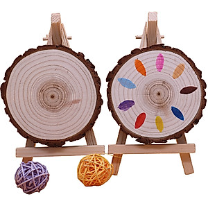 SENMUT Wood Slices 20 Pcs 3.5-4.0 inch Unfinished Wood Rounds Christmas Wood Ornaments for Crafts Wood Kit Wooden Circles Without Hole Wood Coasters Natural Wooden Slices Craft Supplies for Painting