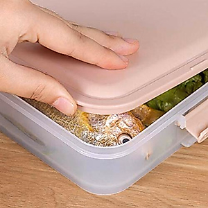 HEMOTON Plastic Food Storage Containers Dumpling Box Food Freezer Box Keep Fruits Vegetables Meat And More Kitche Fridge Freezer (Meat meal)