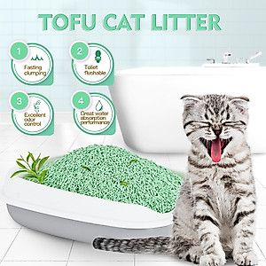 YODUPES Cat Litter, Lightweight Natural Tofu Clumping Cat Litter Odor Control 99.9% DustFree, Flushable Low Tracking, 10.6 LB Total, Pack of 2