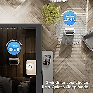 ANDTE 2500 Sq.Ft Dehumidifiers for Large Room and Home Basements, 31 Pints Dehumidifiers with Auto or Manual Drainage, 0.528 Gallon Water Tank with Drain Hose, Auto Defrost, Dry Clothes Function, 24H Timer