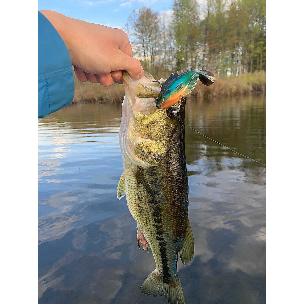 Catch Co 10,000 Fish Head Hunter 3.25" Soft Swimbait (Lavalamp)