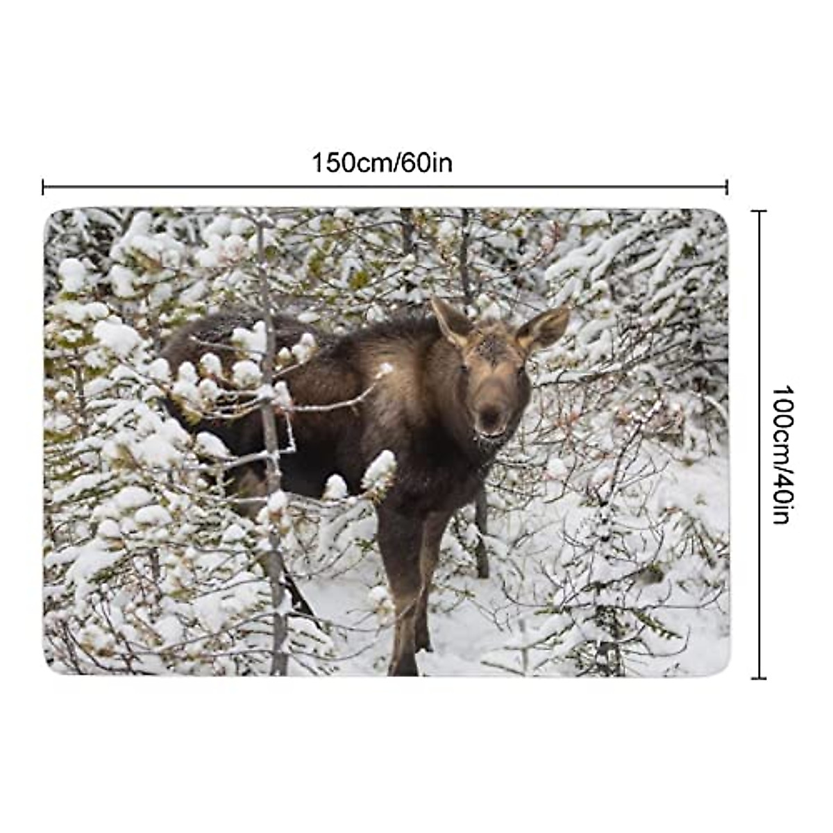 ERUXUGB Cutest Baby Animals | Moose Calf Coral Velvet Floor mat（150×100cm）