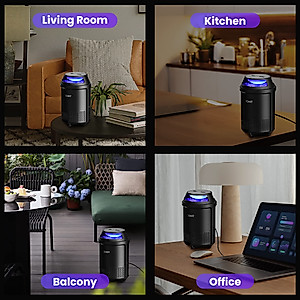 COKIT Indoor Insect Trap, 2 Mode Catching Insects with Suction, Bug Light and 6 Glue Board, Catcher & Killer for Mosquito, Gnat, Moth, Fruit Flies, Non-Zapper Traps for Home, Black-2