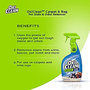 OxiClean® Carpet Pet Stain Remover 24oz