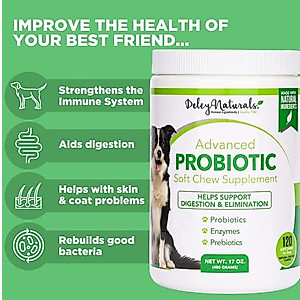 Deley Naturals Probiotics for Dogs - 120 Grain Free Chicken Soft Chews - 4 Billion CFU's, Digestive Enzymes, Prebiotics - Dog Allergies, Diarrhea, Bad Dog Breath, Constipation, Gas, Yeast- Made in USA