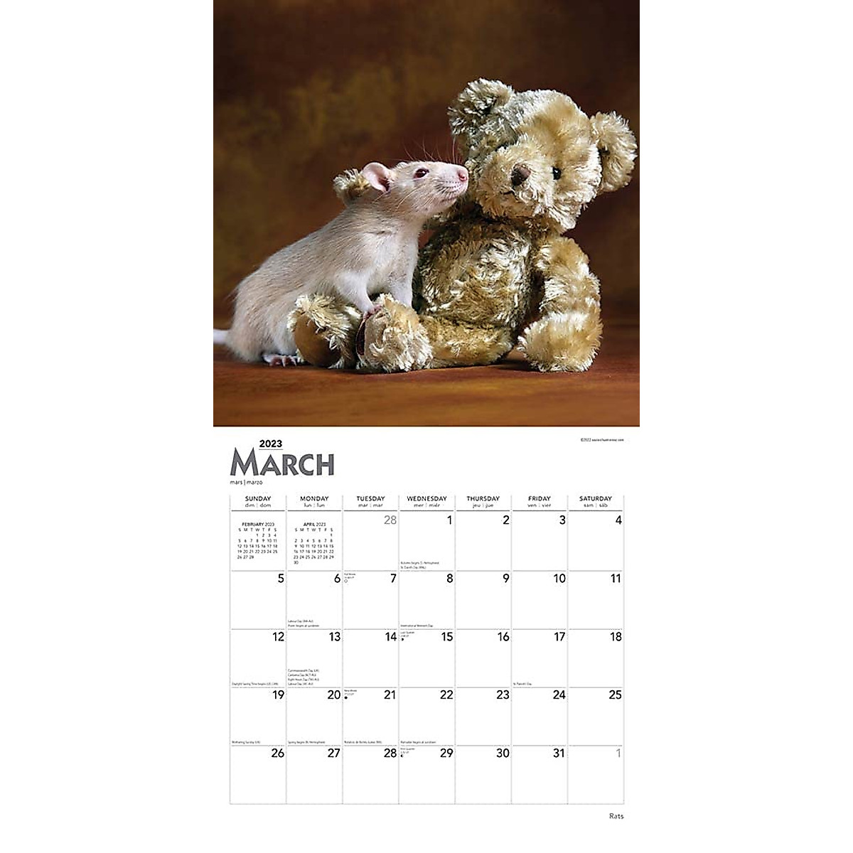Rats | 2023 12 x 24 Inch Monthly Square Wall Calendar | BrownTrout | Domestic Animals Mouse