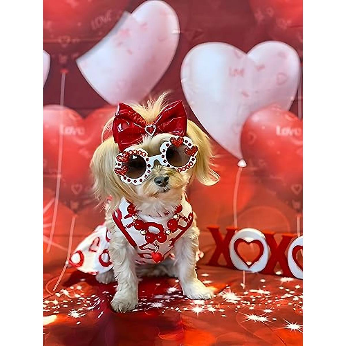 Fitwarm 2-Pack Dog XOXO Tulle Dress, 100% Cotton Dog Clothes for Small Dogs Girl, Cat Apparel, Red, XS