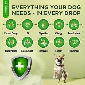 Natural Antibiotics for Dogs | Dog Antibiotics | Supports Dog Allergy Relief | Dog Itch Relief | Dog Allergy Support | Dog Multivitamin | Pet Antibiotics | Dog Antibiotics | 2 Oz