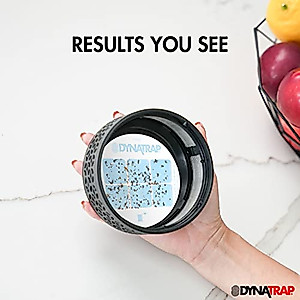 DynaTrap DT152 Indoor Insect Trap and Killer – Catches and Kills Fruit Flies, Gnats, Moths, Mosquitoes & Other Flying Insects