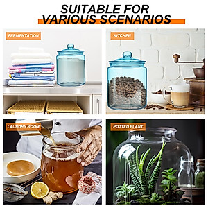 Tioncy 2 Pcs 1 Gallon Cookie Jar Glass Jars Apothecary Storage Glass Containers with Lids Large Clear Airtight Glass Canisters with Labels for Kitchen Laundry for Cookie Candy Sugar Flour (Blue)