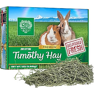 Small Pet Select 2nd Cutting Perfect Blend Timothy Hay Pet Food for Rabbits, Guinea Pigs, Chinchillas and Other Small Animals, Premium Natural Hay Grown in The US, 10 LB
