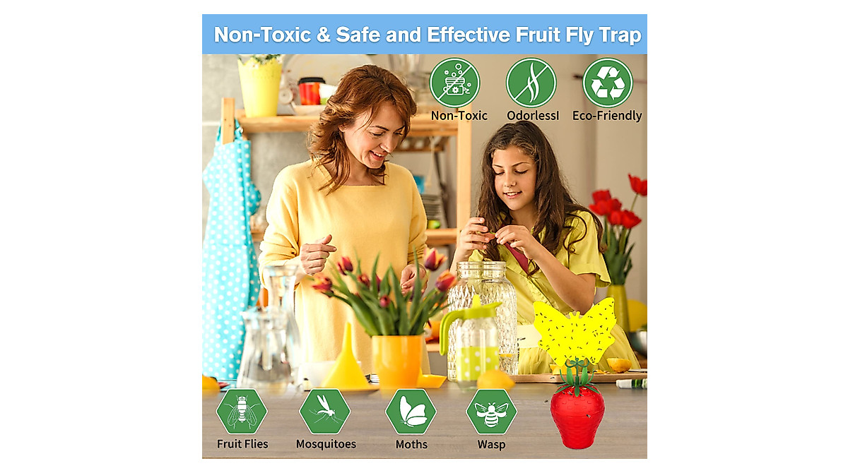 Fruit Fly Trap for Indoors,Effective Fruit Fly Killer Catcher Gnat Trap ...