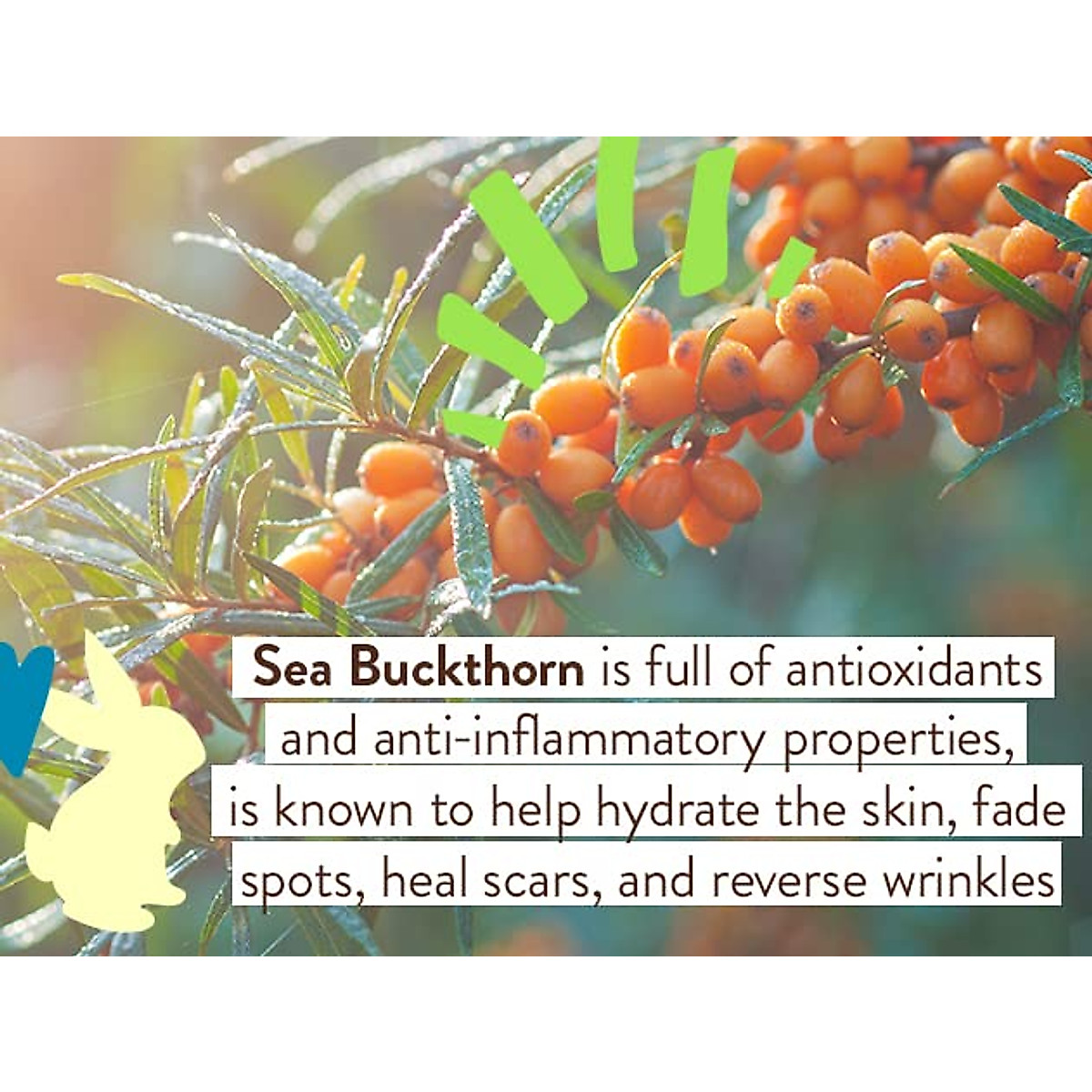 Babo Botanicals Daily Sheer Mineral Tinted Sunscreen SPF30 - Natural Zinc Oxide & Titanium Dioxide - Tinted - Healthy Glow - Fragrance-Free -Rosehip Oil & Hyaluronic Acid - For Face - For all ages