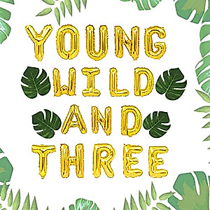 LaVenty 13PCS Young Wild and Three Balloon Young Wild and Three Banner Young Wild and Three Decorations for Boy Girl Third Birthday Decorations 3 Year Old Birthday Decor 3rd Birthday Balloon