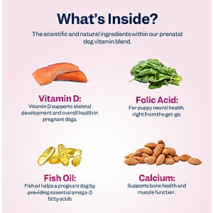 Dog Prenatal Vitamins - Prenatal Vitamins for Dogs - Prenatal Kit for Pregnant Dogs with Iron, D3 and Folic Acid - Prenatal Dog Vitamins to Enhance Recovery and Milk Production for Nursing Puppies