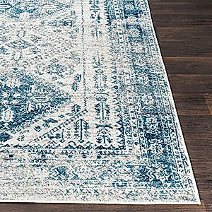 Artistic Weavers Desta Vintage Oriental Area Rug,6'7" x 9',Blue/White